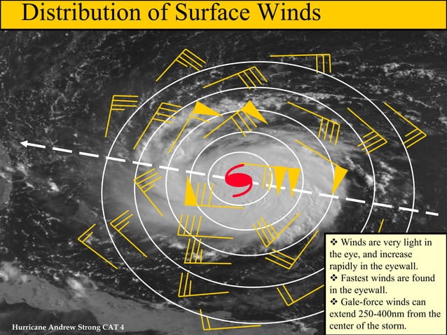 tropical_cyclones.ppt | Free Download