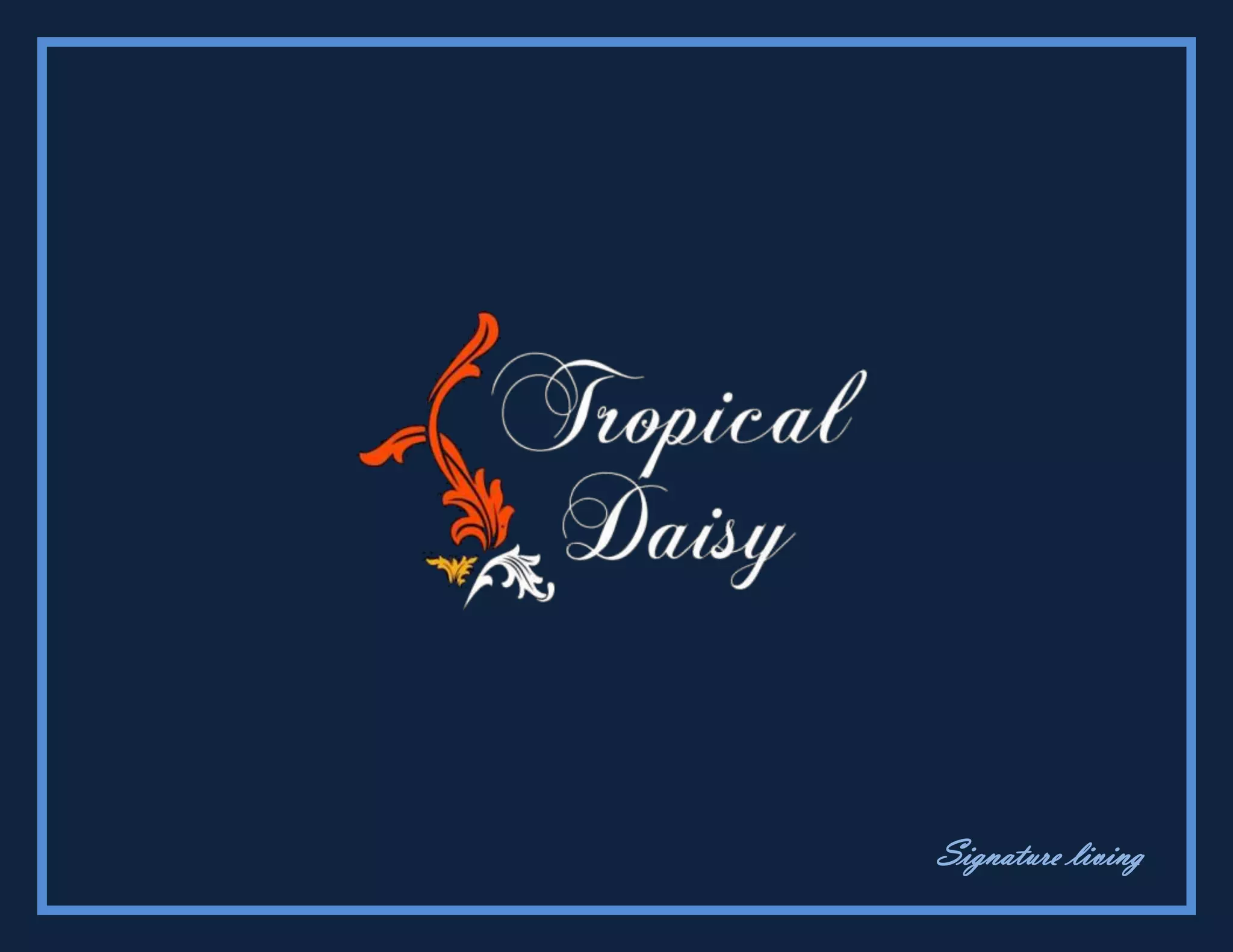 Tropical Daisy Brochure | PDF