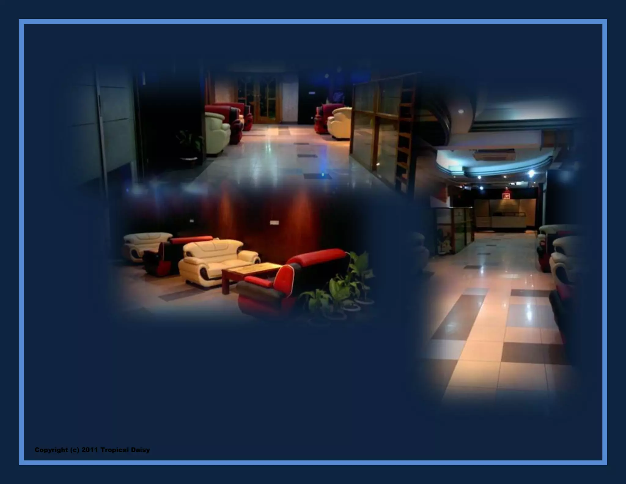 Tropical Daisy Brochure | PDF