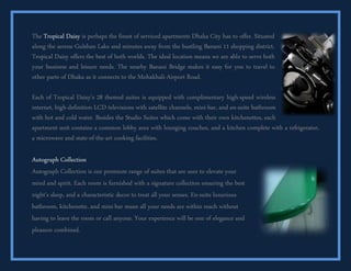 Tropical Daisy Brochure | PDF