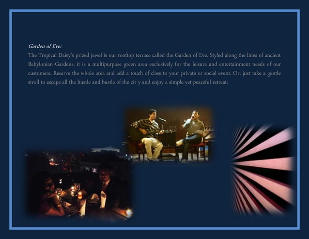 Tropical Daisy Brochure | PDF