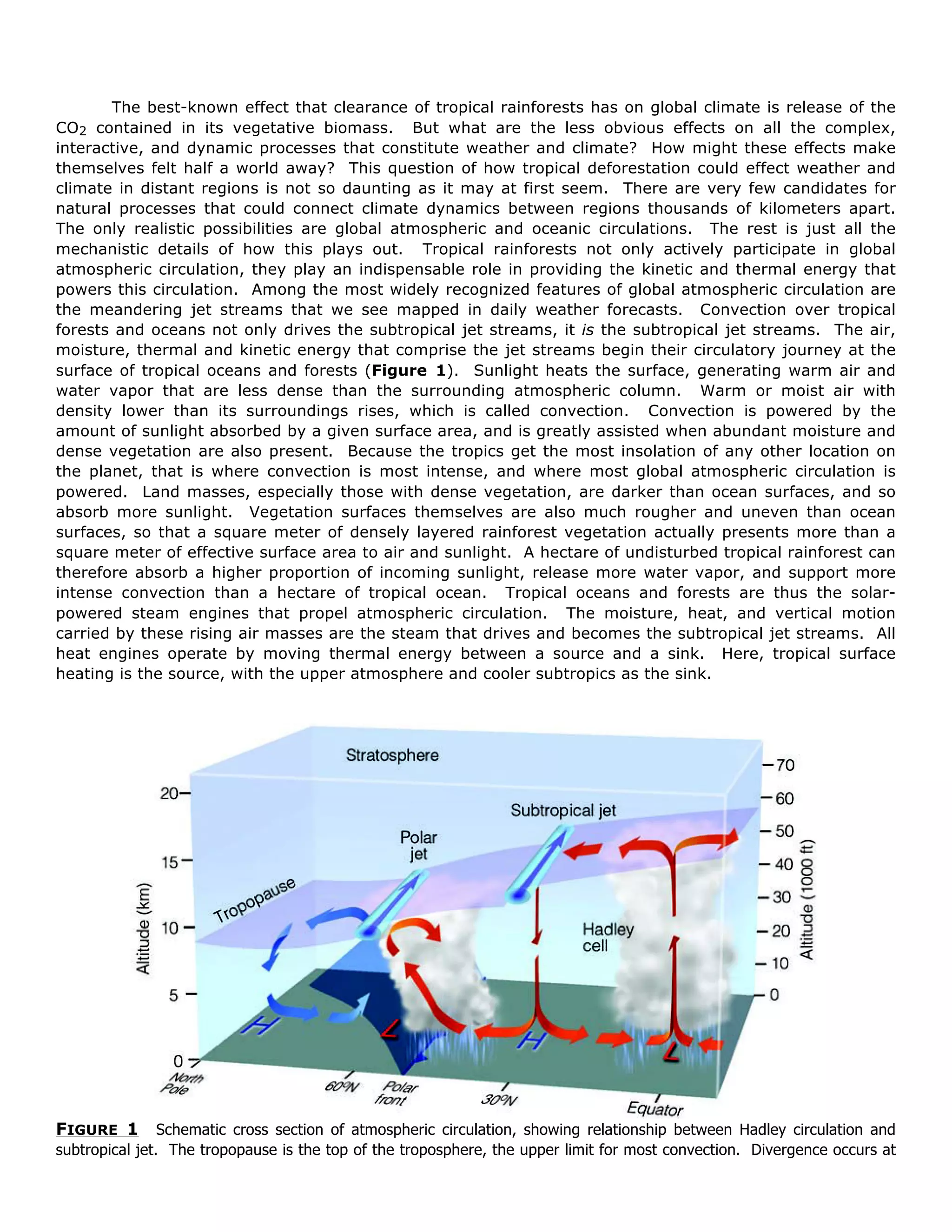 Tropical deforestation, global climate change, ENSO and possible ...