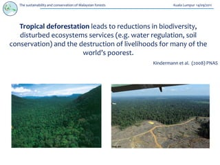 Tropical deforestation - Local solutions for global problems | PPTX