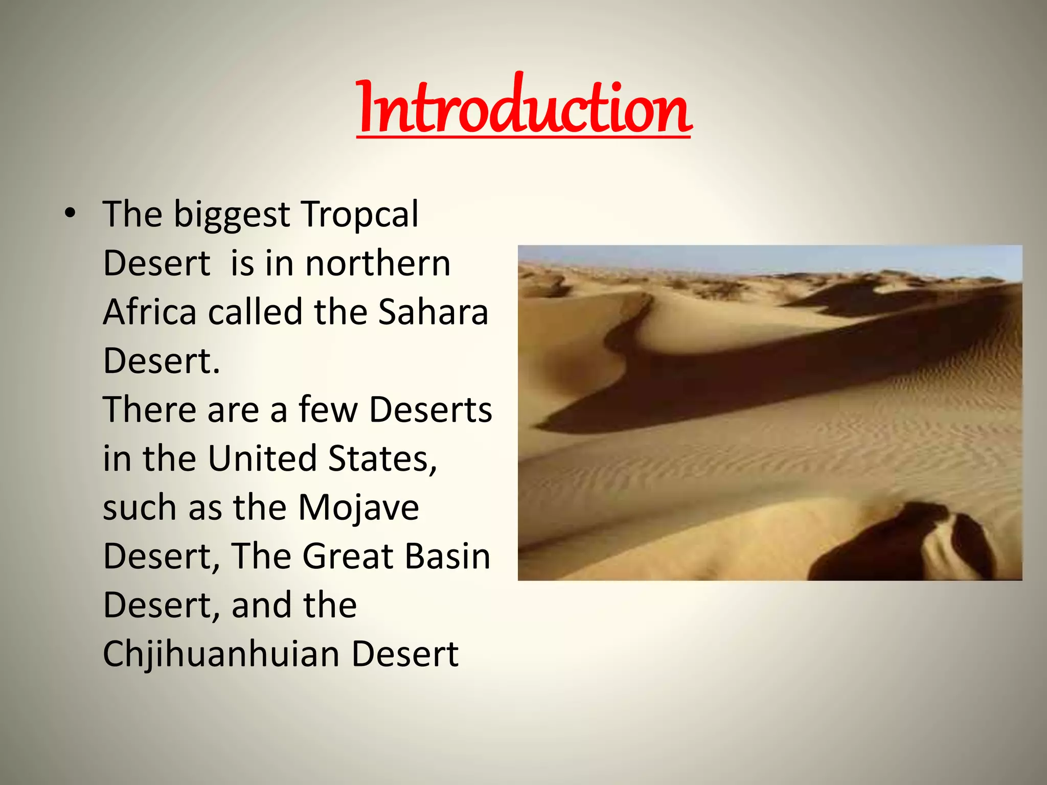 Tropical desert | PPTX