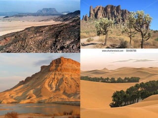 Tropical desert | PPTX