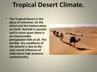 Tropical desert | PPTX