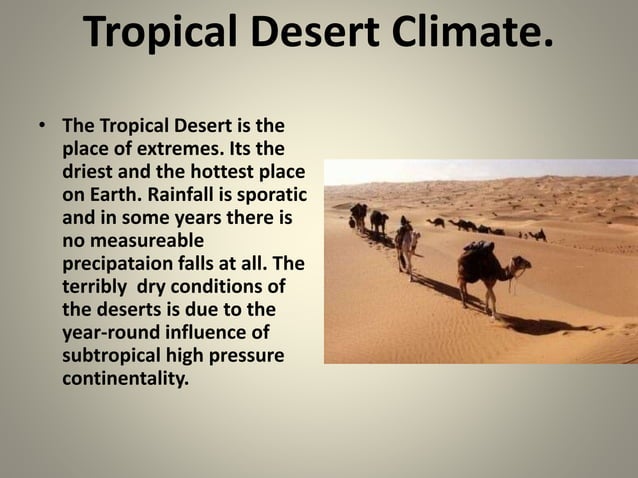 Tropical desert | PPTX