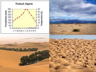 Tropical desert | PPTX