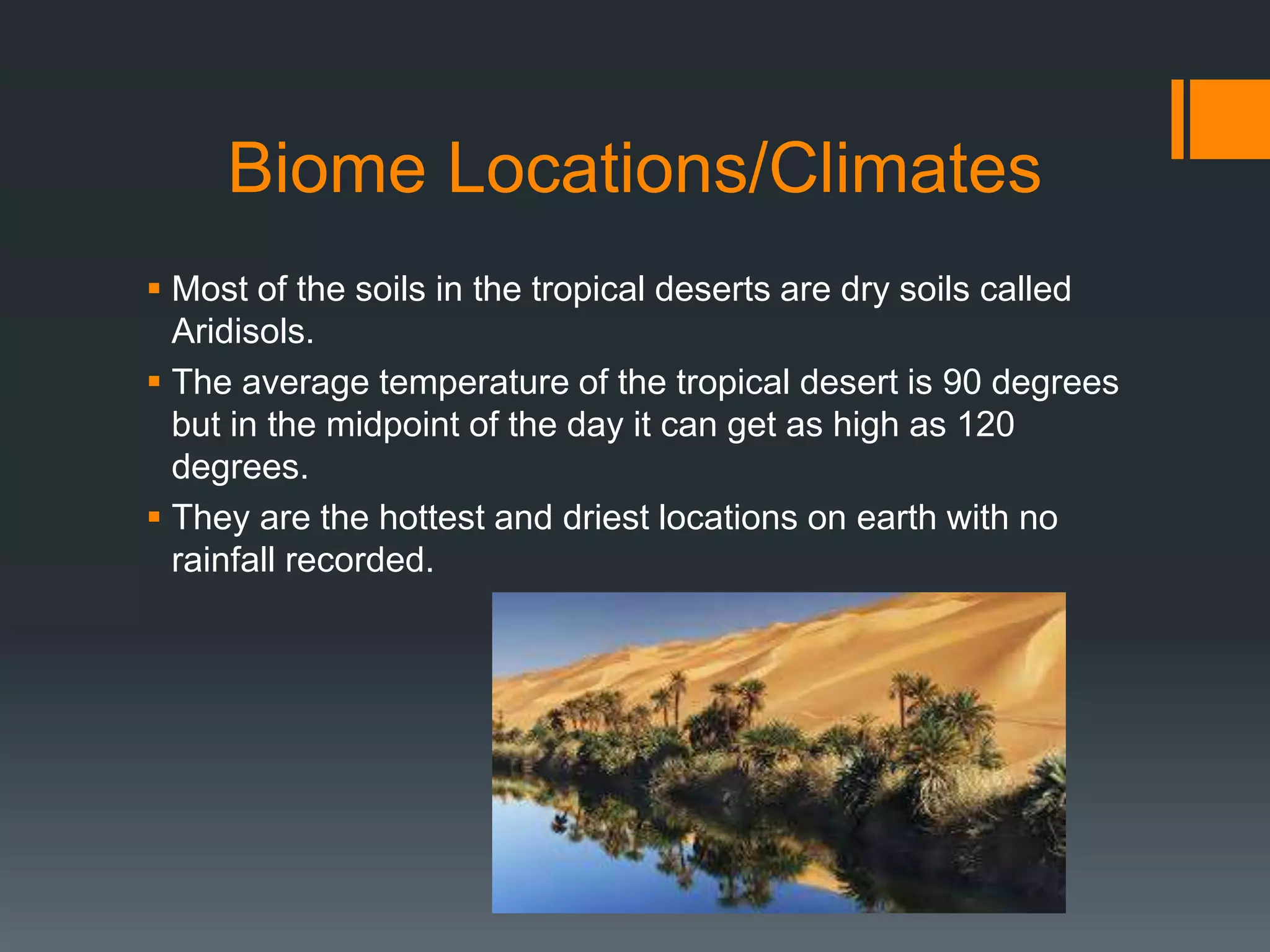Tropical desert PERIOD 5 | PPTX