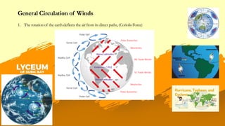 TRopical design quiz.pdf (climate, weather) | PDF