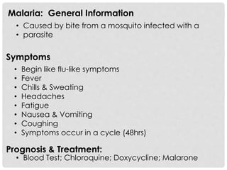 Tropical Diseases | PPTX