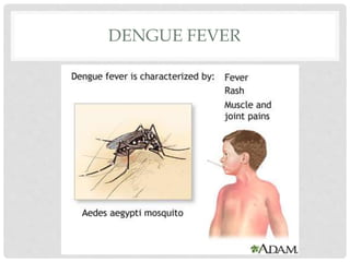 Tropical Diseases | PPTX