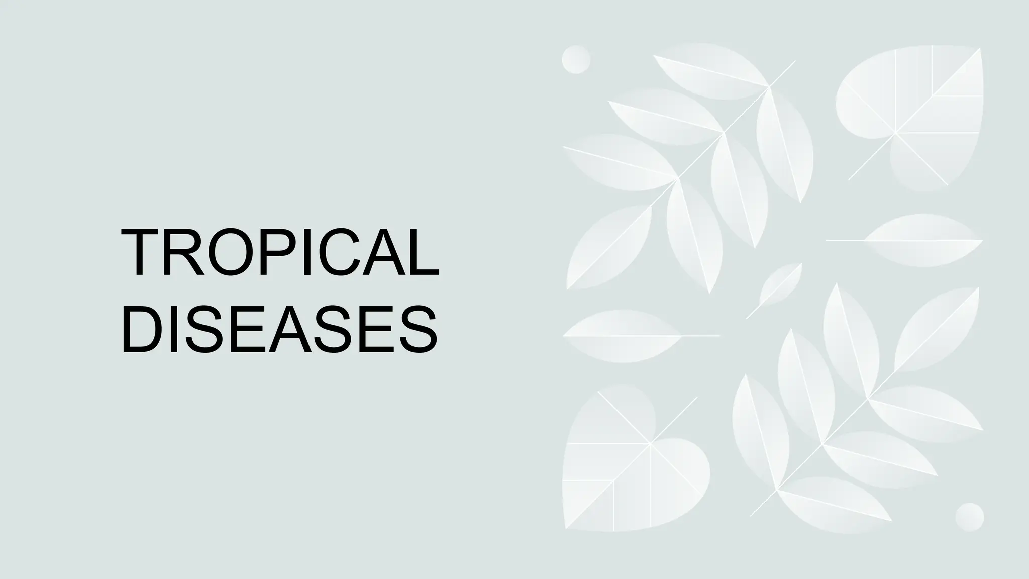 TROPICAL DISEASES - Diagnosis and Management pptx | PPTX