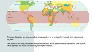 TROPICAL DISEASES - Diagnosis and Management pptx | PPTX