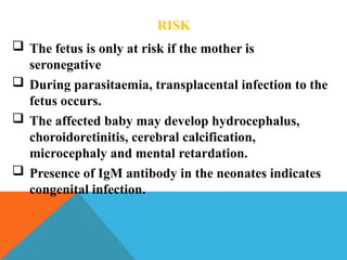 TROPICAL DISEASES IN PREGNANCY - Obstetrics and gynaecological nursing ...