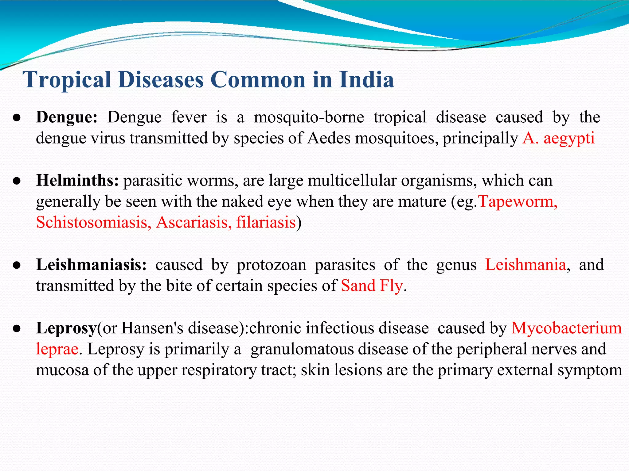 Tropical Diseases | PPTX
