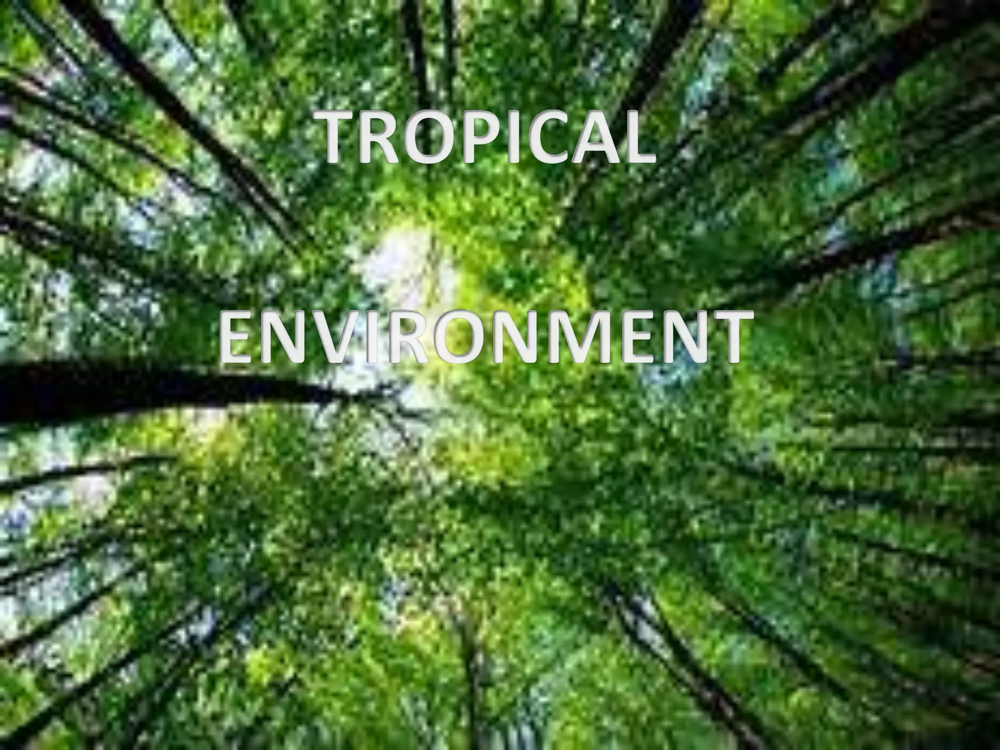 Tropical environments | PPTX