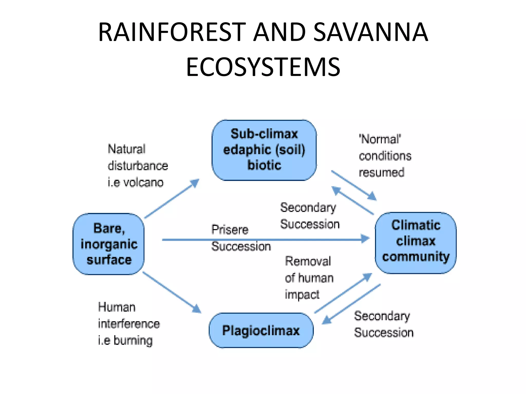 Tropical environments | PPTX