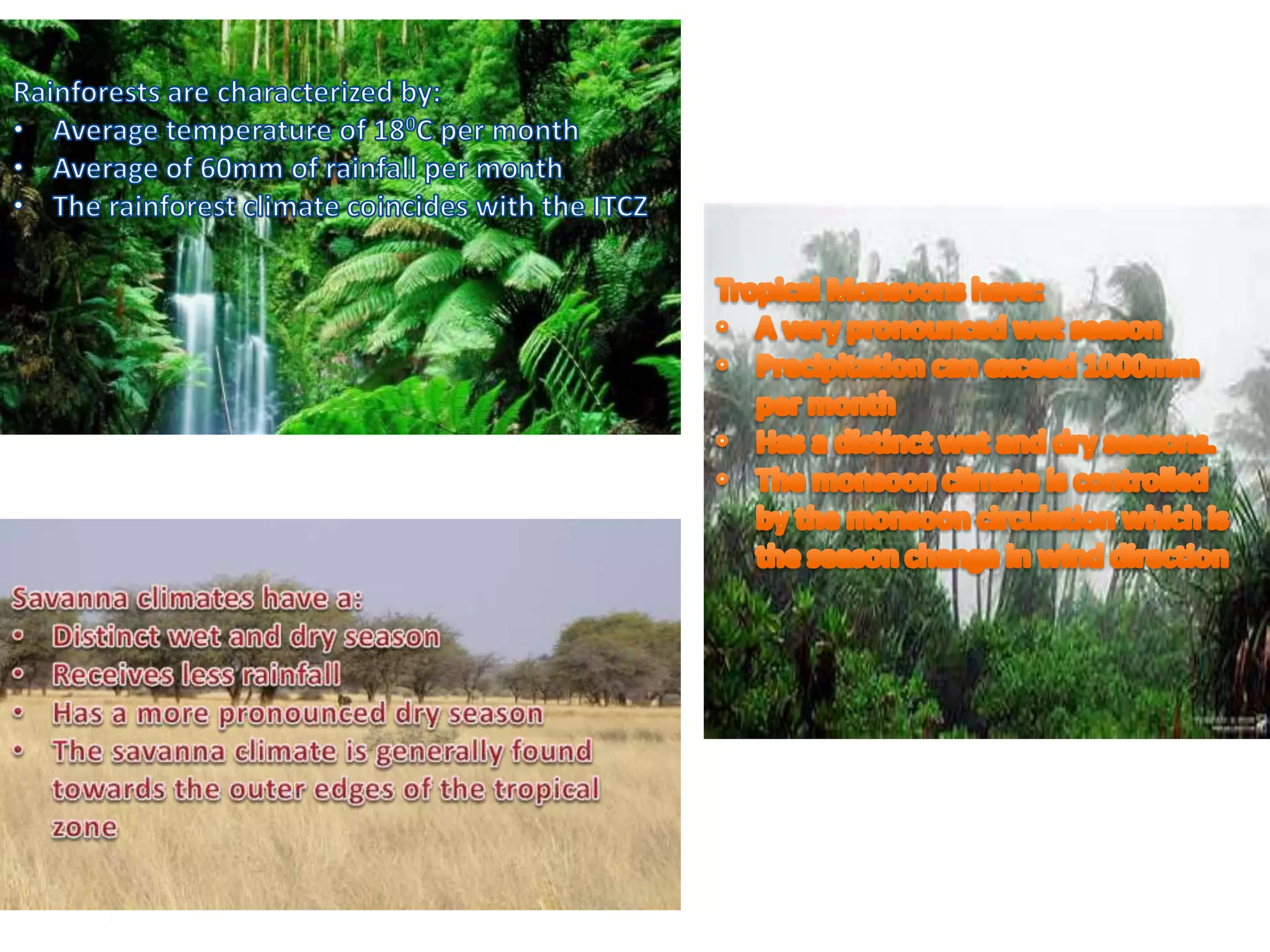 Tropical environments | PPTX