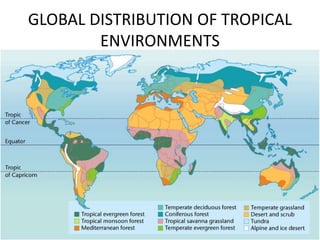 Tropical environments | PPTX