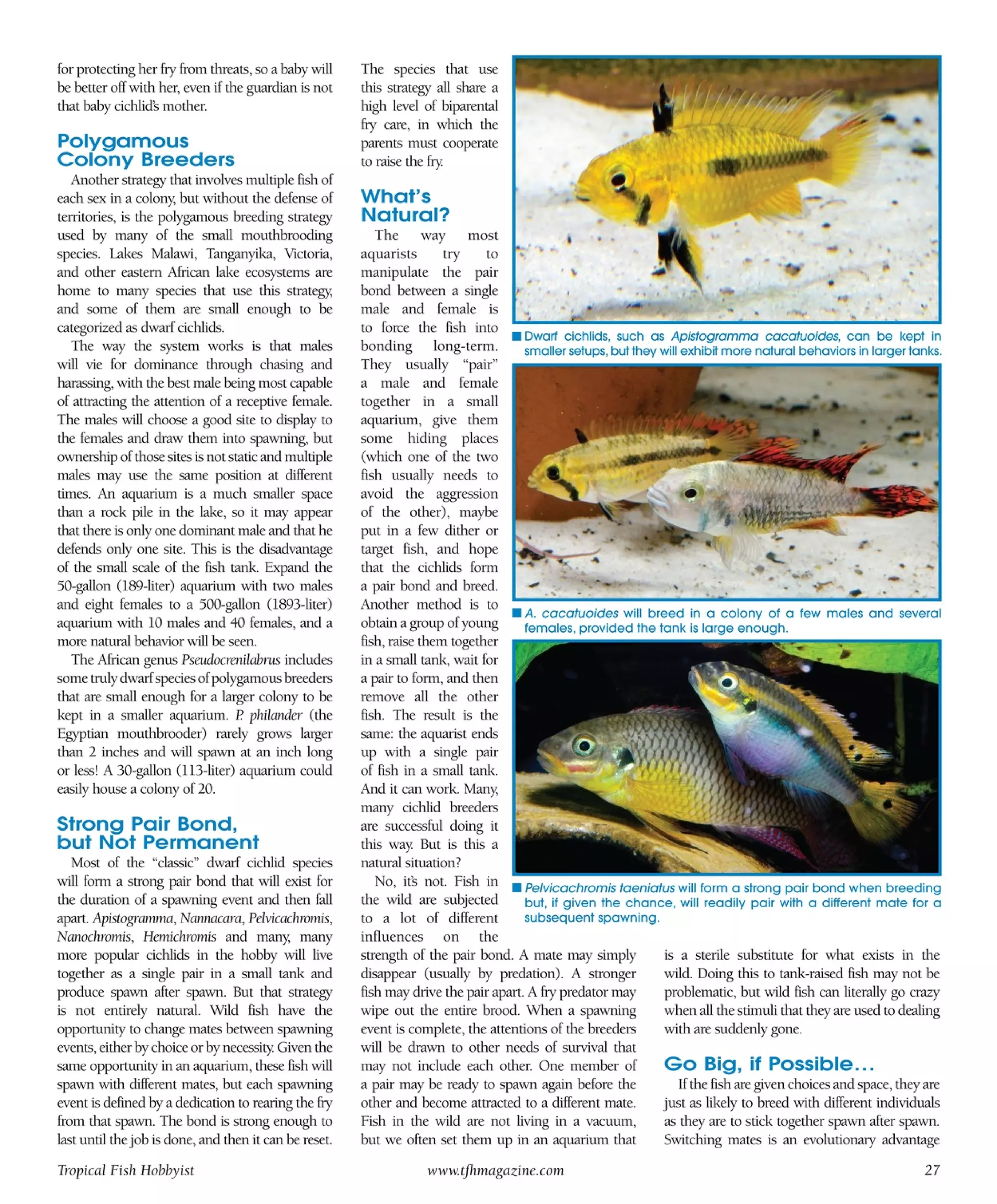 Tropical fish hobbyist magazine may 2014 | PDF