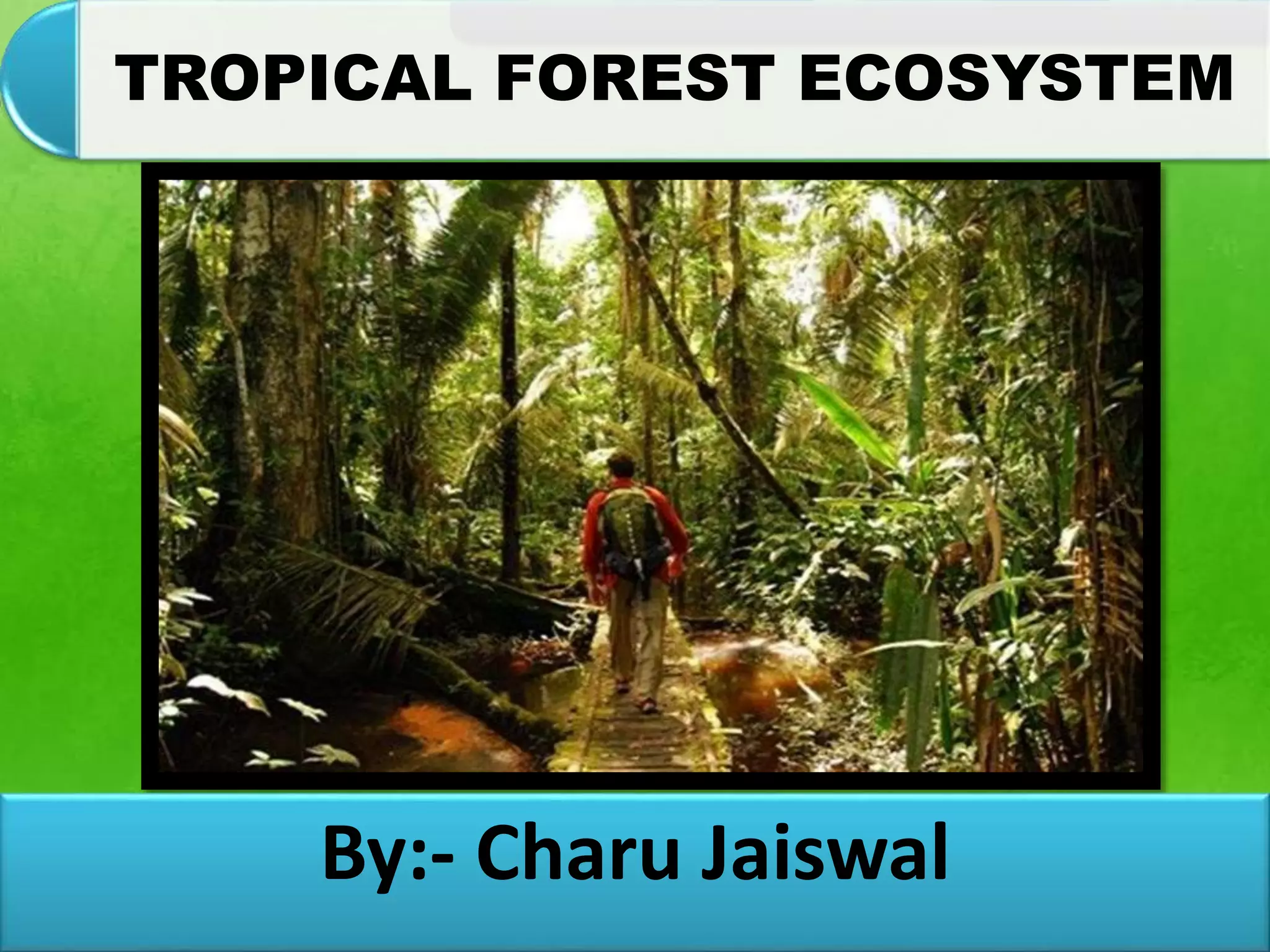 Tropical forest ecosystem | PPTX