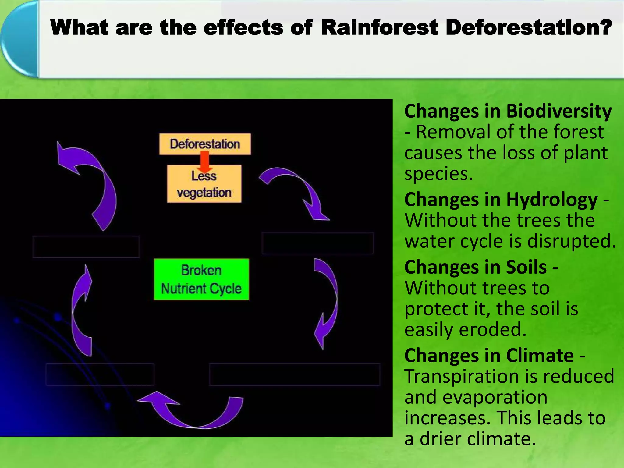 Tropical forest ecosystem | PPTX