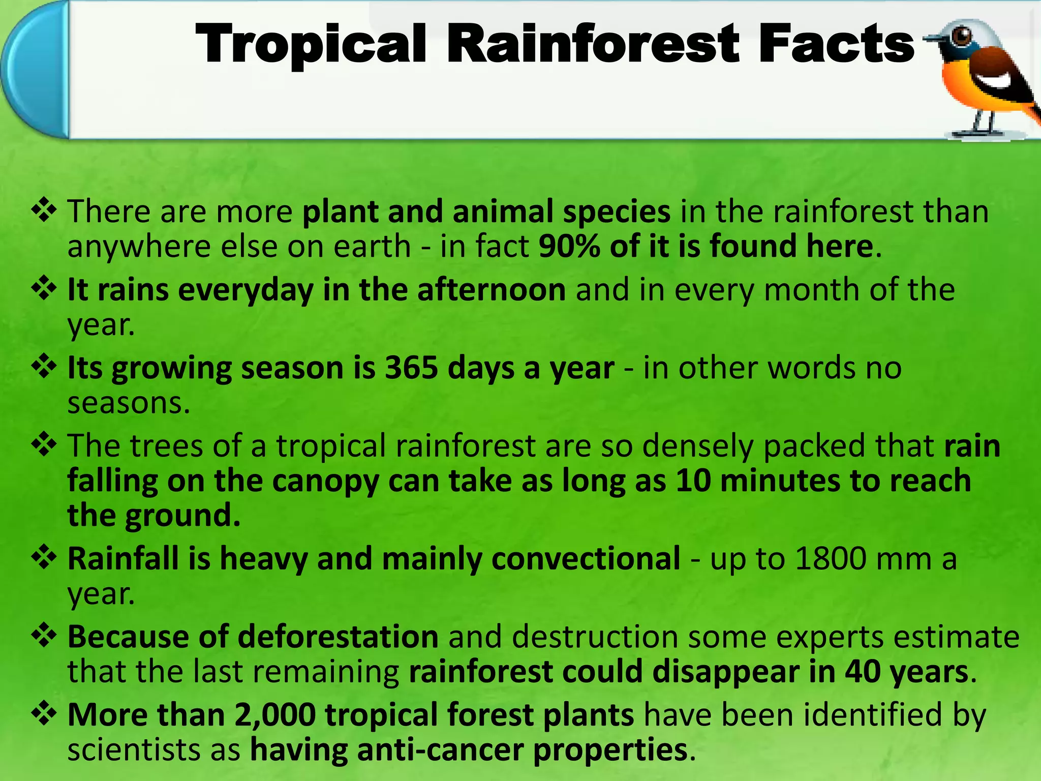 Tropical forest ecosystem | PPTX