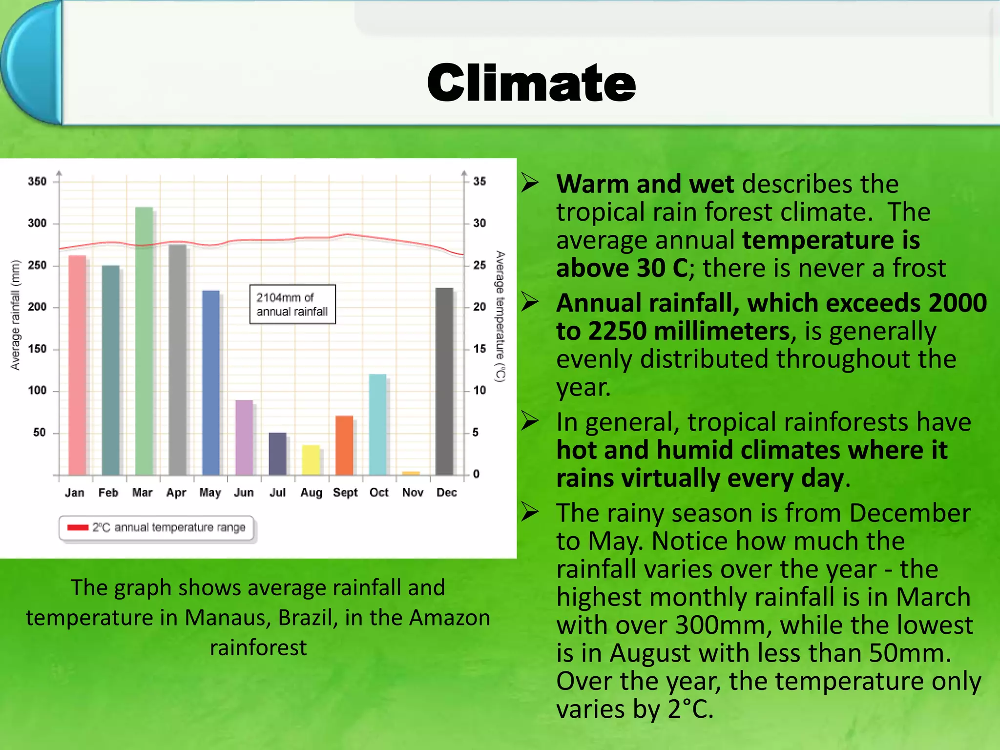 Tropical forest ecosystem | PPTX