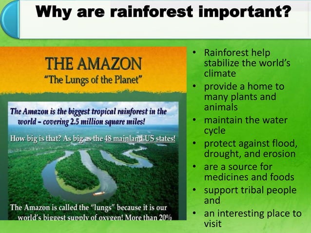 Tropical forest ecosystem | PPTX | Gardening | Home & Garden