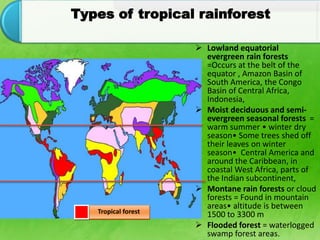 Tropical forest ecosystem | PPTX