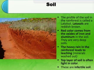 Tropical forest ecosystem | PPTX