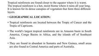 tropical forests.pptx