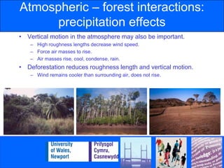 Tropical forests and climate | PPTX