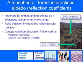 Tropical forests and climate | PPTX