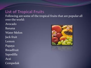 Tropical Fruits List