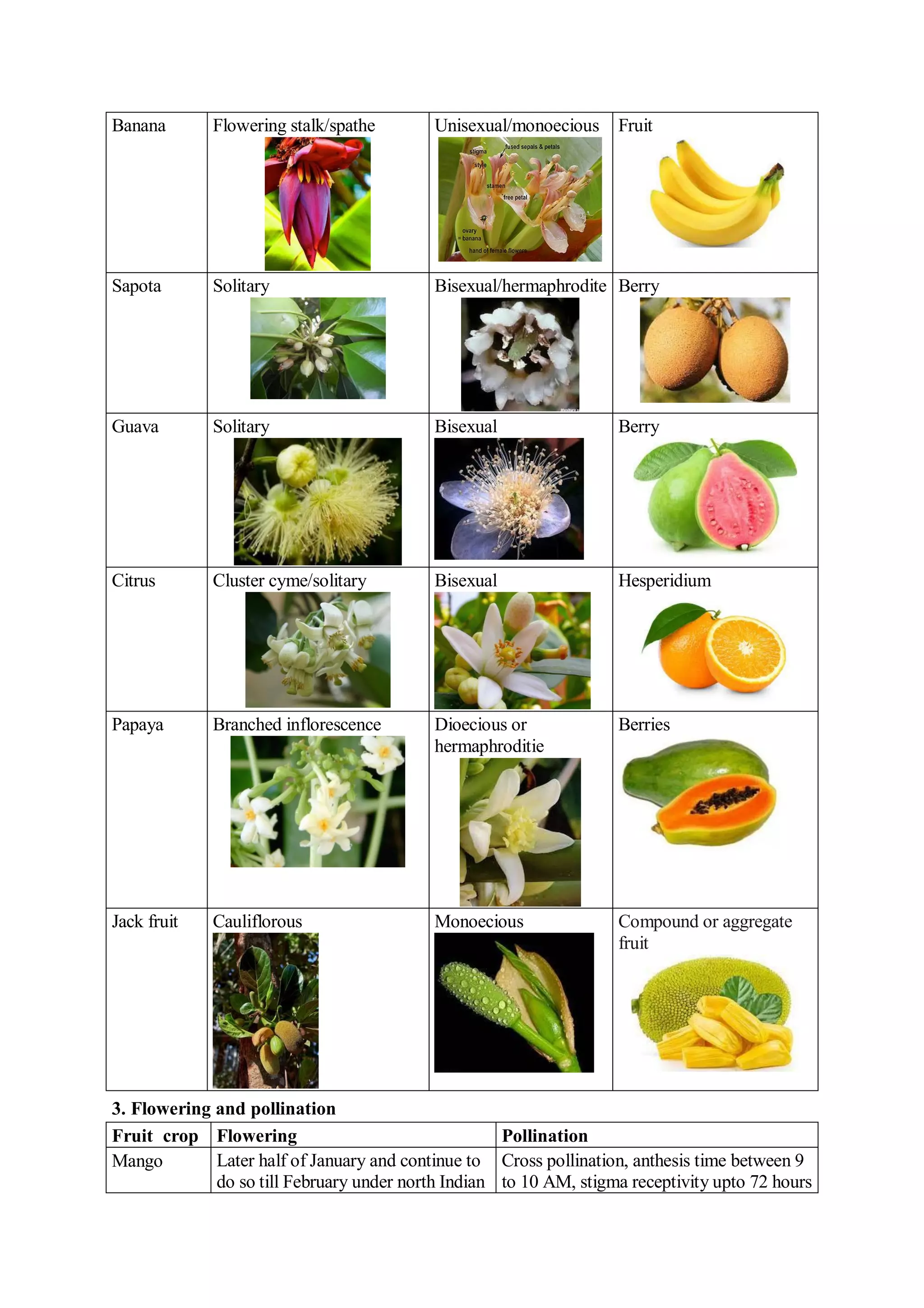 TROPICAL FRUITS TITBITS.pdf