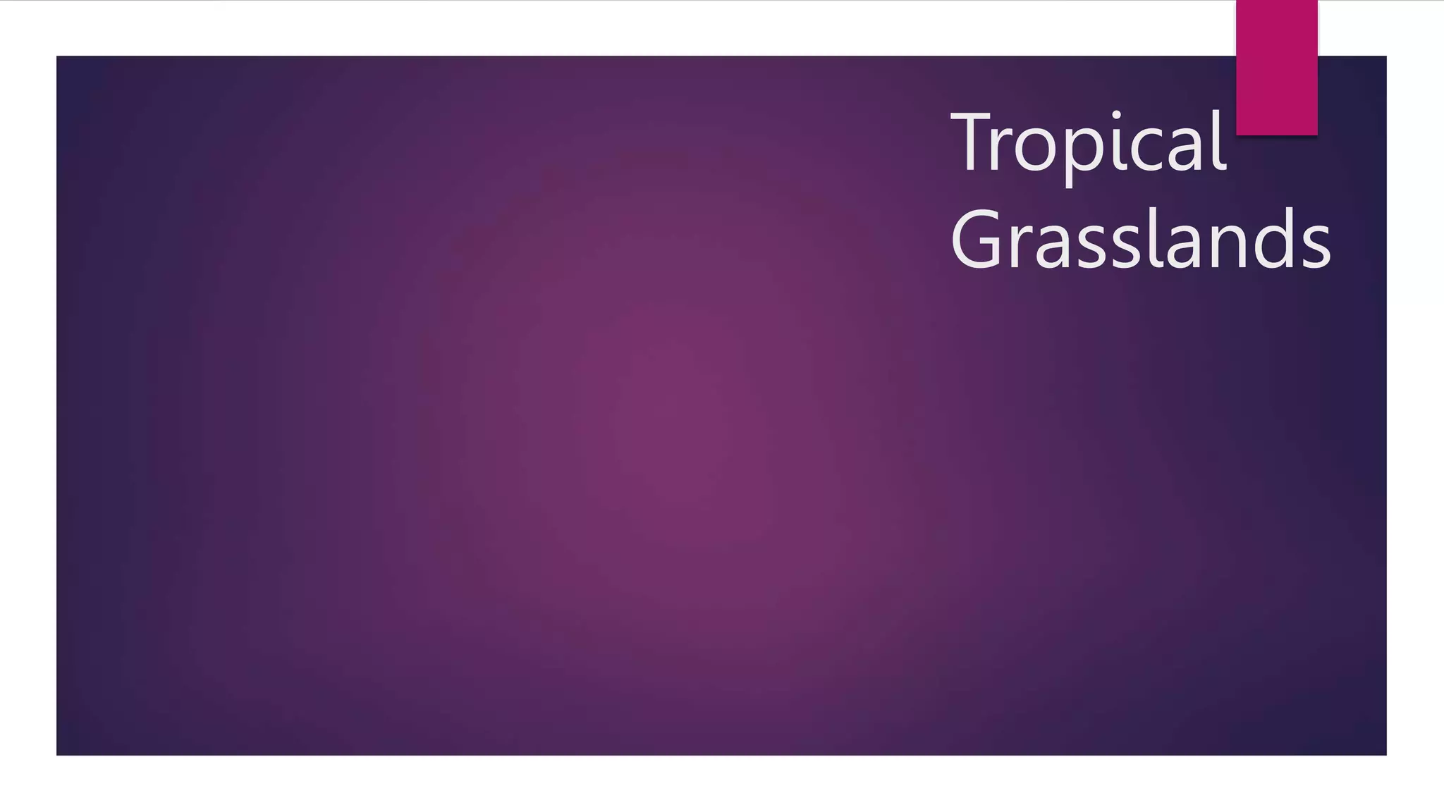 Tropical Grasslands.pptx