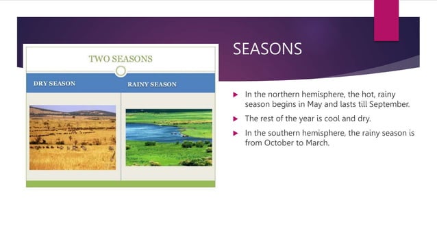 Tropical Grasslands.pptx