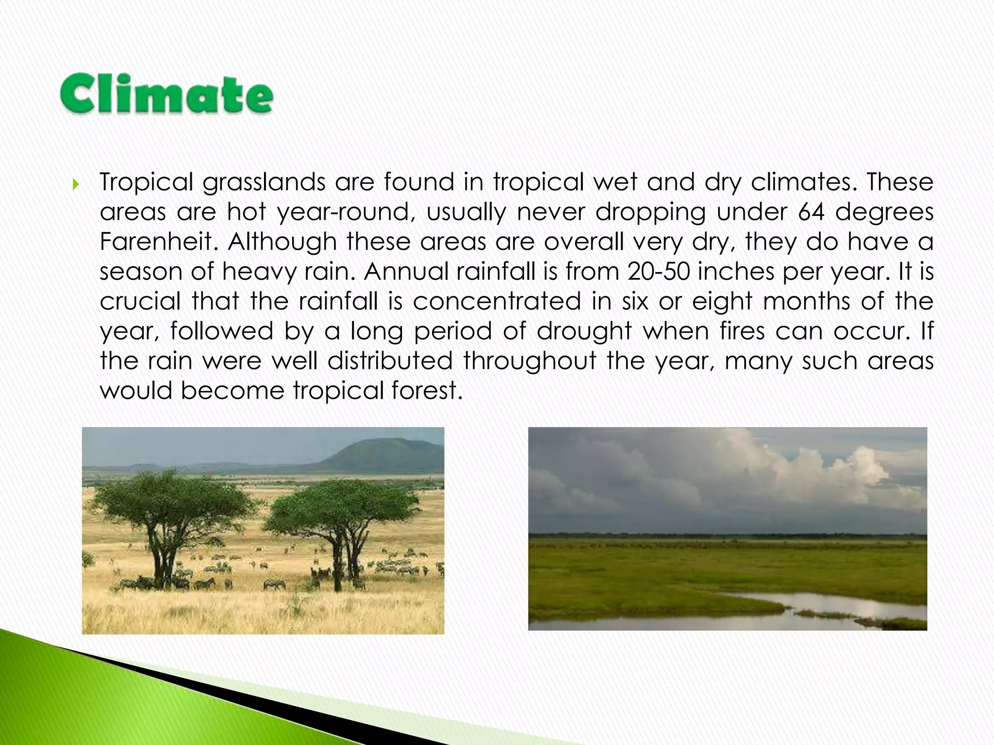 Tropical grasslands 6th | PPSX | Zoos & Aquariums | Attractions