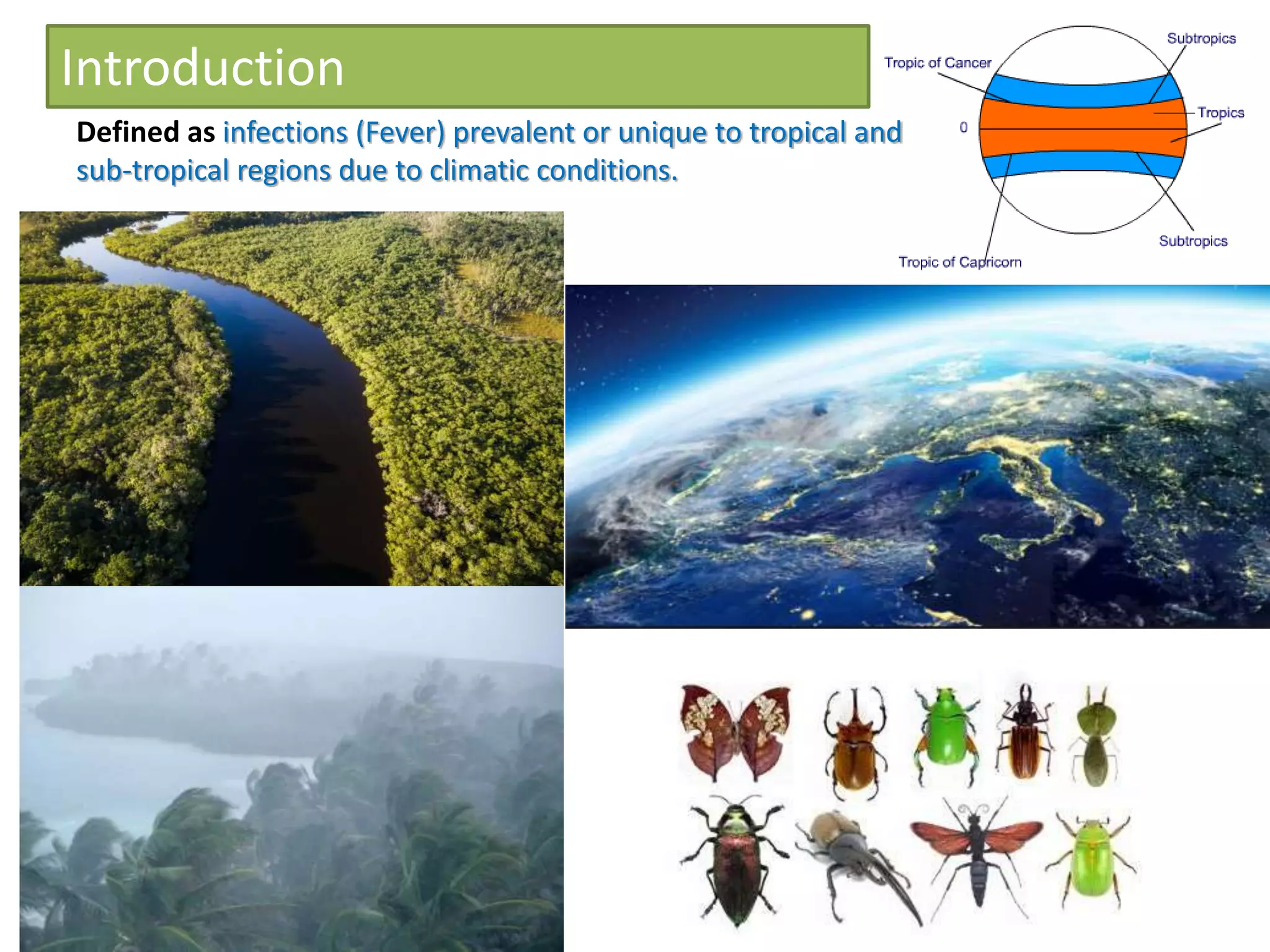 Antibiotics for Tropical infections in ICU | PPTX