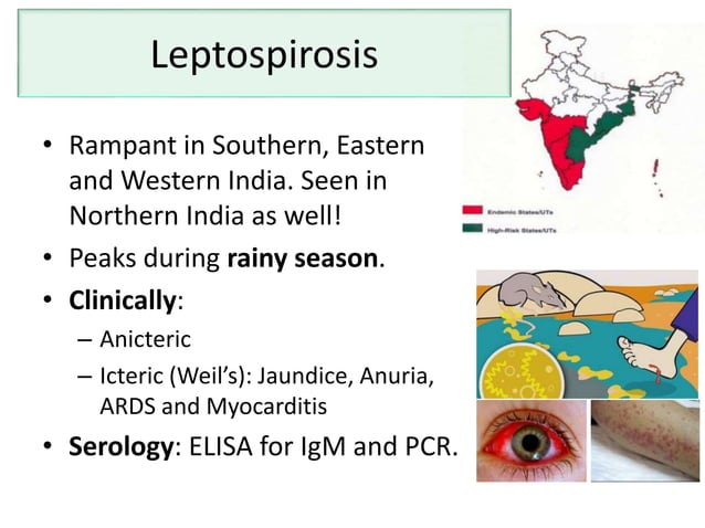 Antibiotics for Tropical infections in ICU | PPTX | Infectious Diseases ...