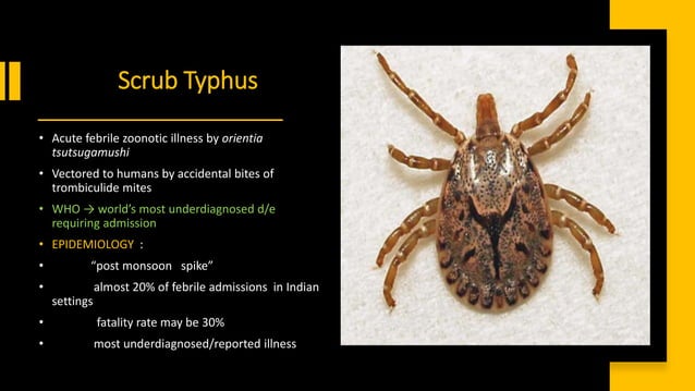 Tropical infections in Indian icu | PPTX