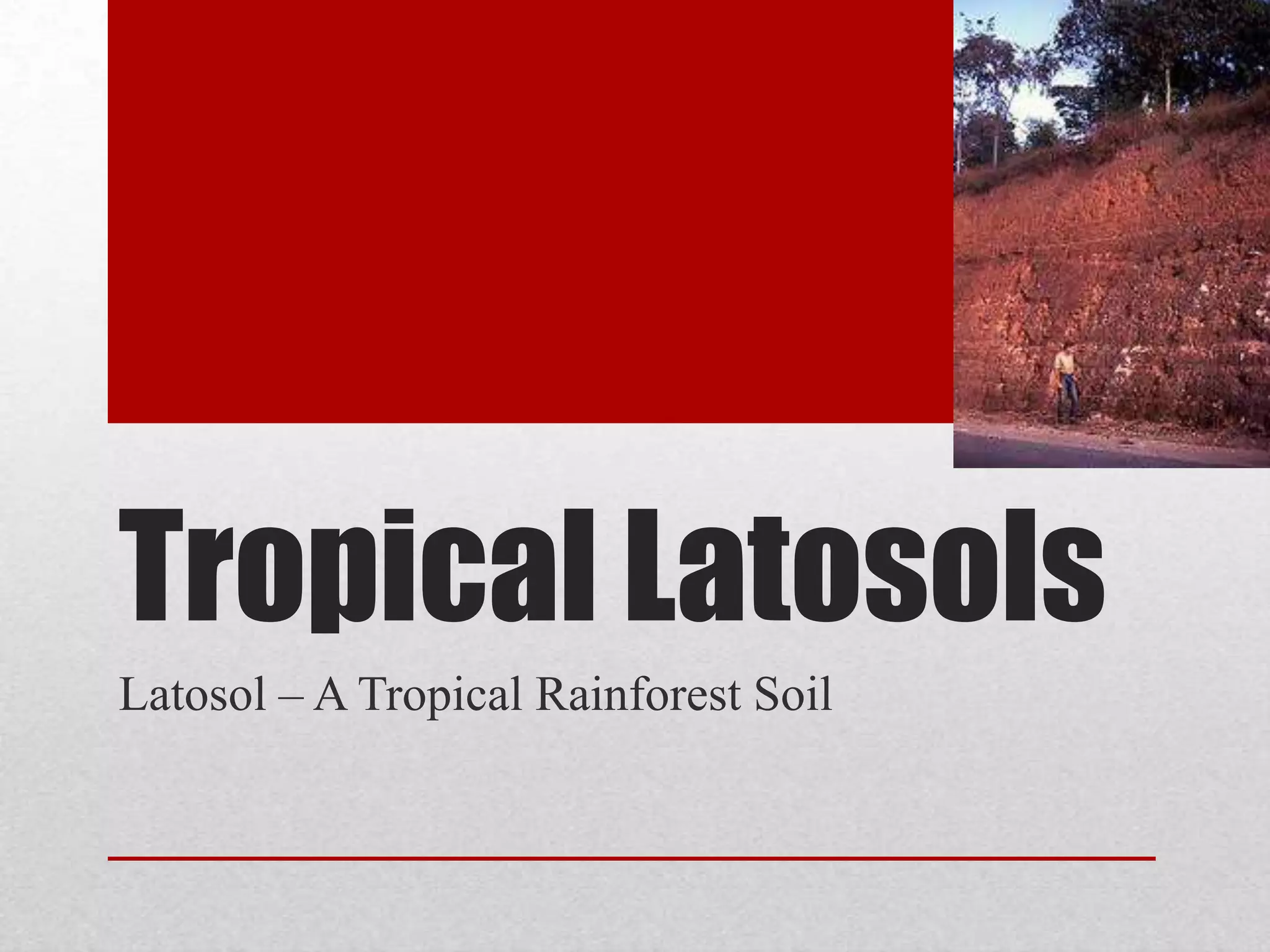 Tropical Latosols - Soils | PPTX