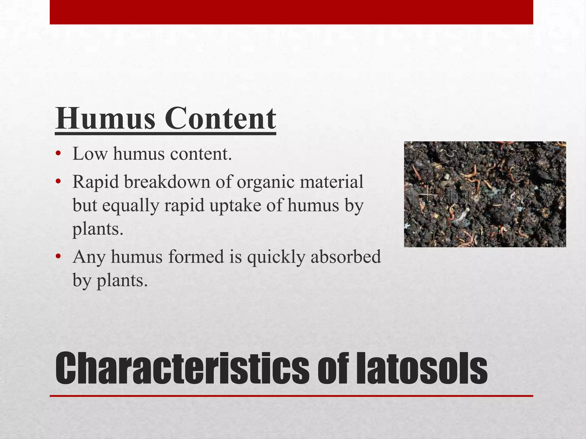 Tropical Latosols - Soils | PPTX