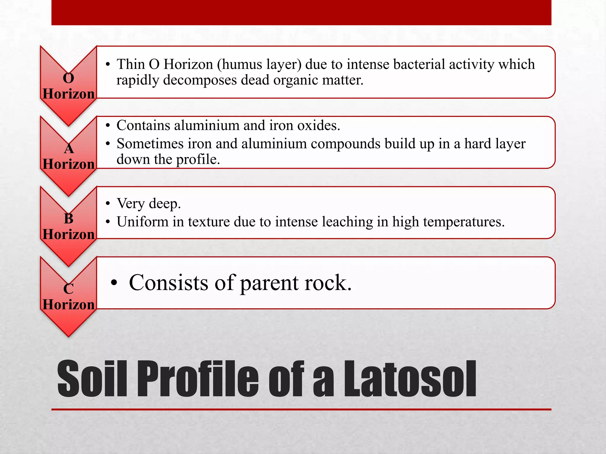 Tropical Latosols - Soils | PPTX