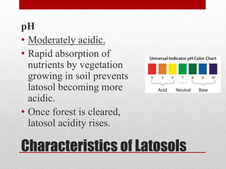 Tropical Latosols - Soils | PPTX