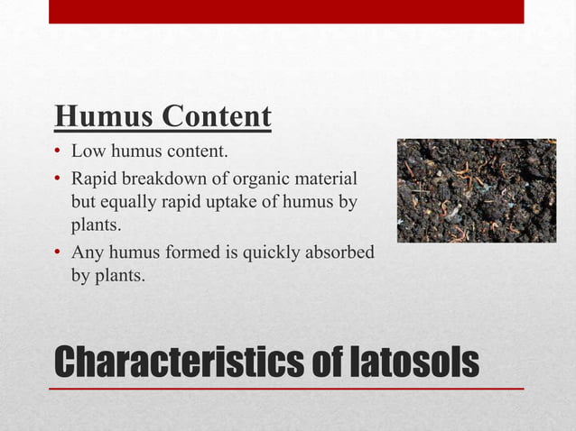 Tropical Latosols - Soils | PPTX