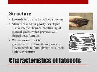 Tropical Latosols - Soils | PPTX