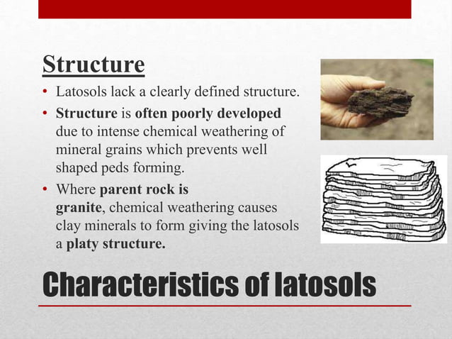 Tropical Latosols - Soils | PPTX